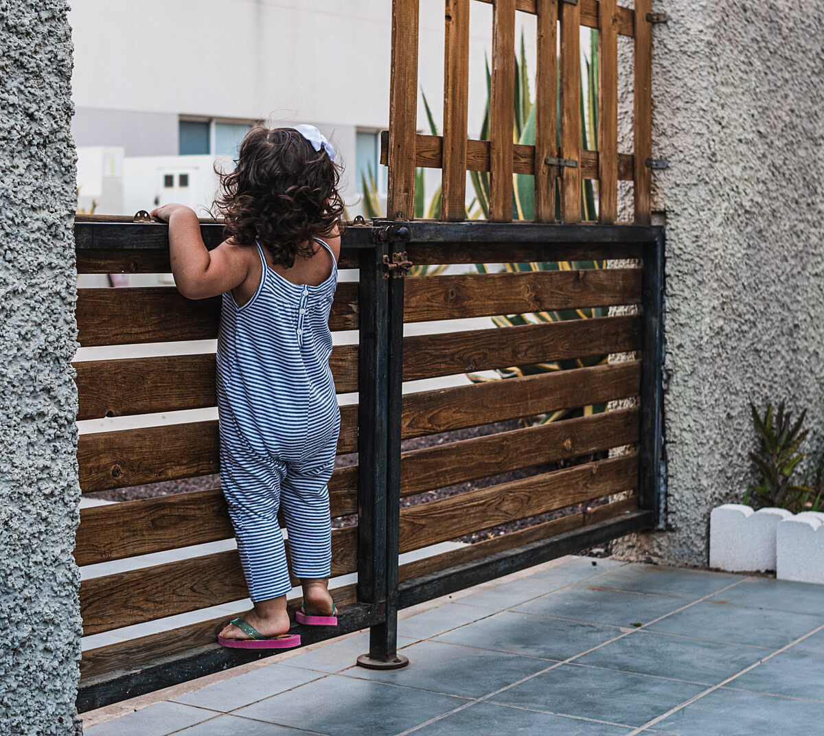 The Death of Curiosity as the Death of Care | Tribeca Therapy