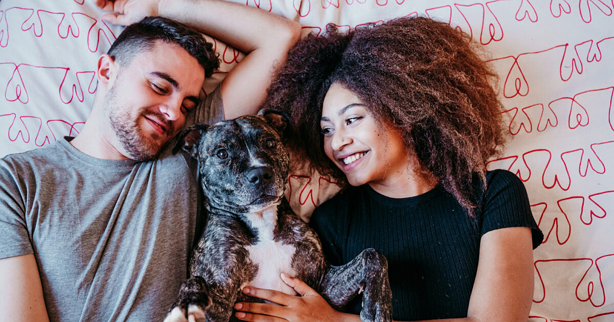 Conflicts About Pets Often Symbolize Deeper Relationship Issues for ...